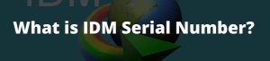 Get Latest Free IDM Serial Key Collection 2025 [100% Work] » TechMaina