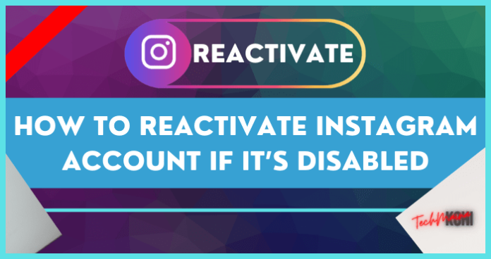 How To Reactivate Instagram Account If It's Disabled [2025] » TechMaina