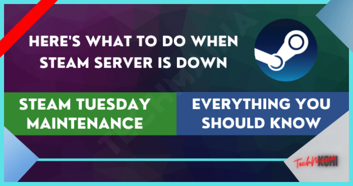 Steam Tuesday Maintenance: Everything You Should Know » TechMaina