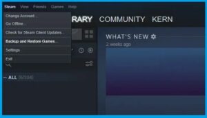 How To Backup And Restore Games On Steam Properly [2023] » TechMaina